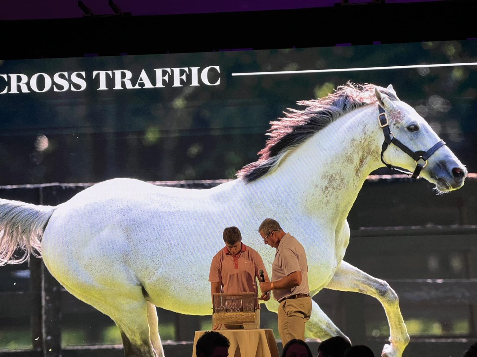 Coming in 2026! Eureka Downs will reopen – Madl Farms